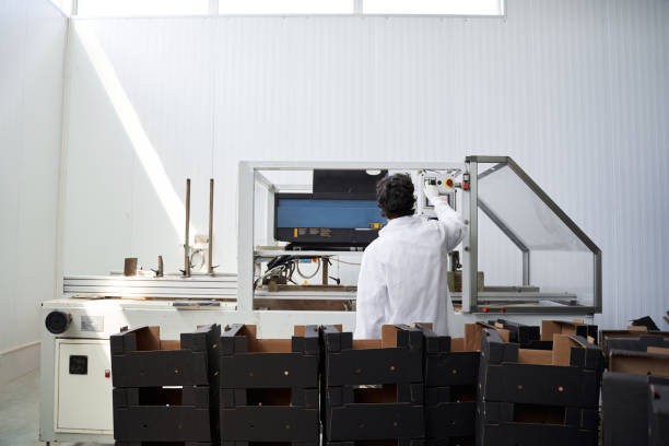 Multi Objective Optimization For Sustainable Production Scheduling A